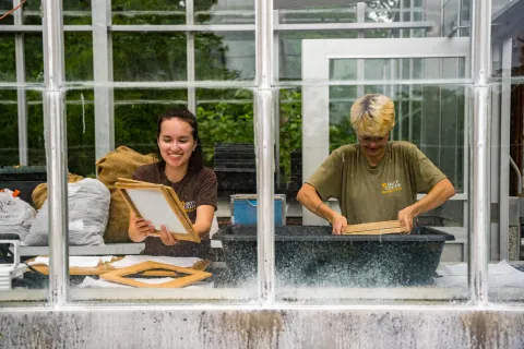 The Great Botanic Garden Papermaking Experiment