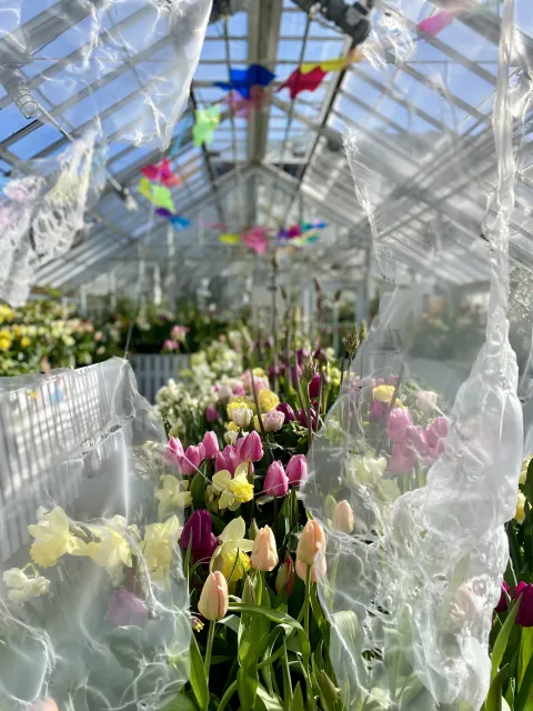 Botanical Imagination: An Installation Commissioned for the 2024 Spring ...